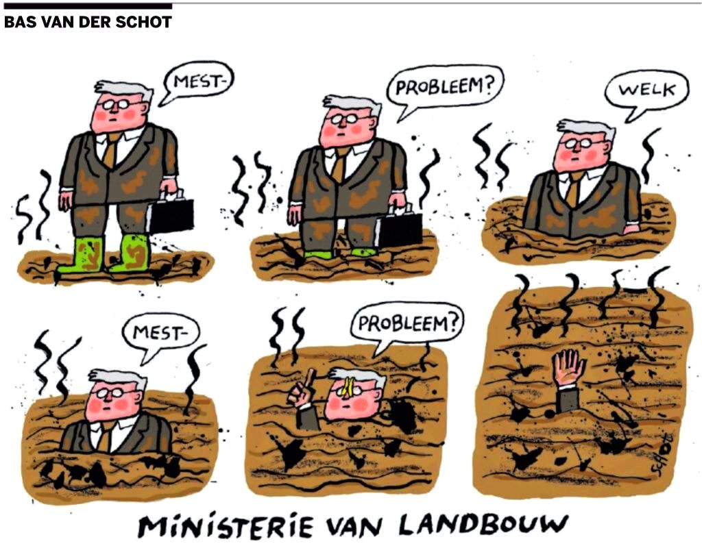 voxclamantis: cartoons